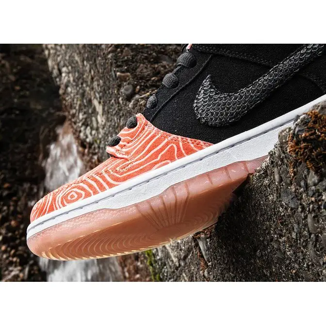 Nike SB Dunk Low Premium Fish Ladder | Where To Buy | 313170-603 | The ...