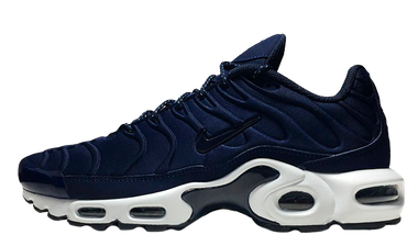Nike TN Air Max Plus Trainers - Cop Your Next Pair of Nike TNs | The ...