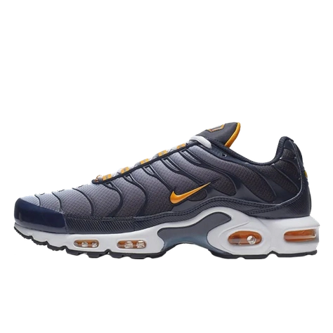 Nike TN Air Max Plus Trainers - Cop Your Next Pair of Nike TNs | The ...