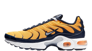 Nike TN Air Max Plus Trainers - Cop Your Next Pair of Nike TNs | The ...