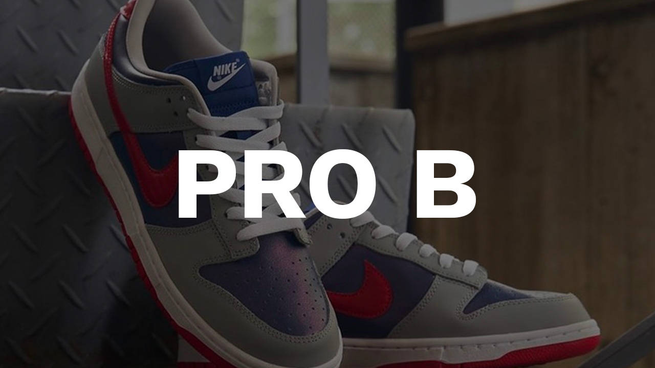Every Single Type of Nike Dunk Explained