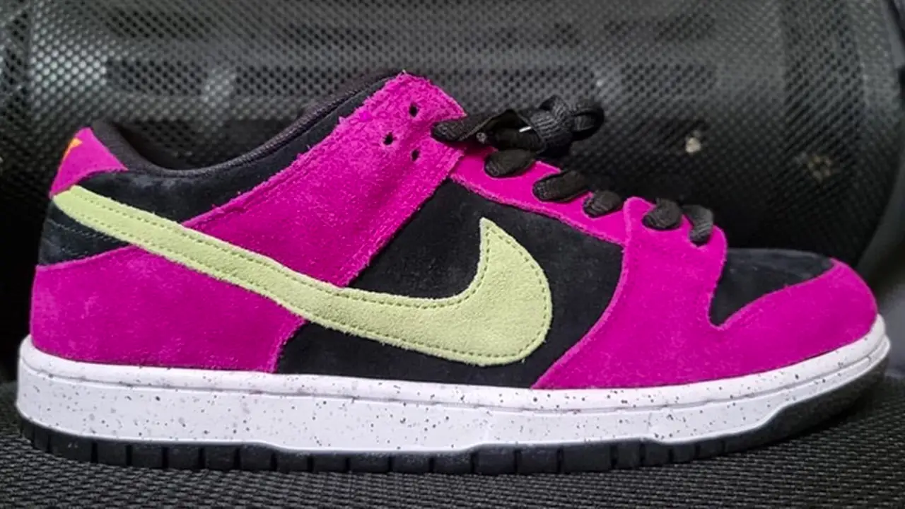 Another ACG-Inspired Nike SB Dunk Low Is in the Works | The Sole Supplier
