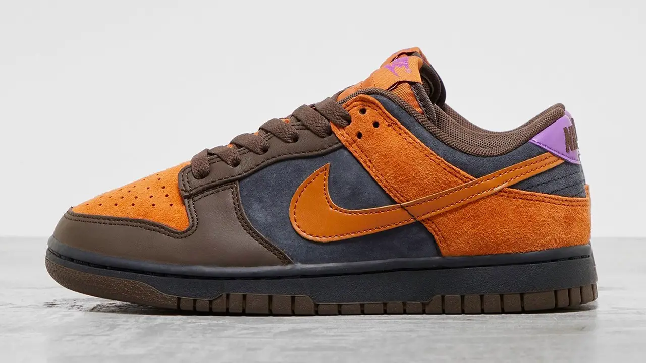 Autumnal Vibes Feature on the Nike Dunk Low "Cider/Dark Chocolate ...