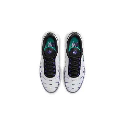 Nike TN Air Max Plus Grape | Where To Buy | DM0032-100 | The Sole Supplier