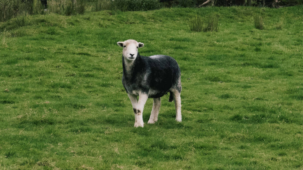 Where the F**k is Flimby? Inside New Balance's 40th Anniversary ...