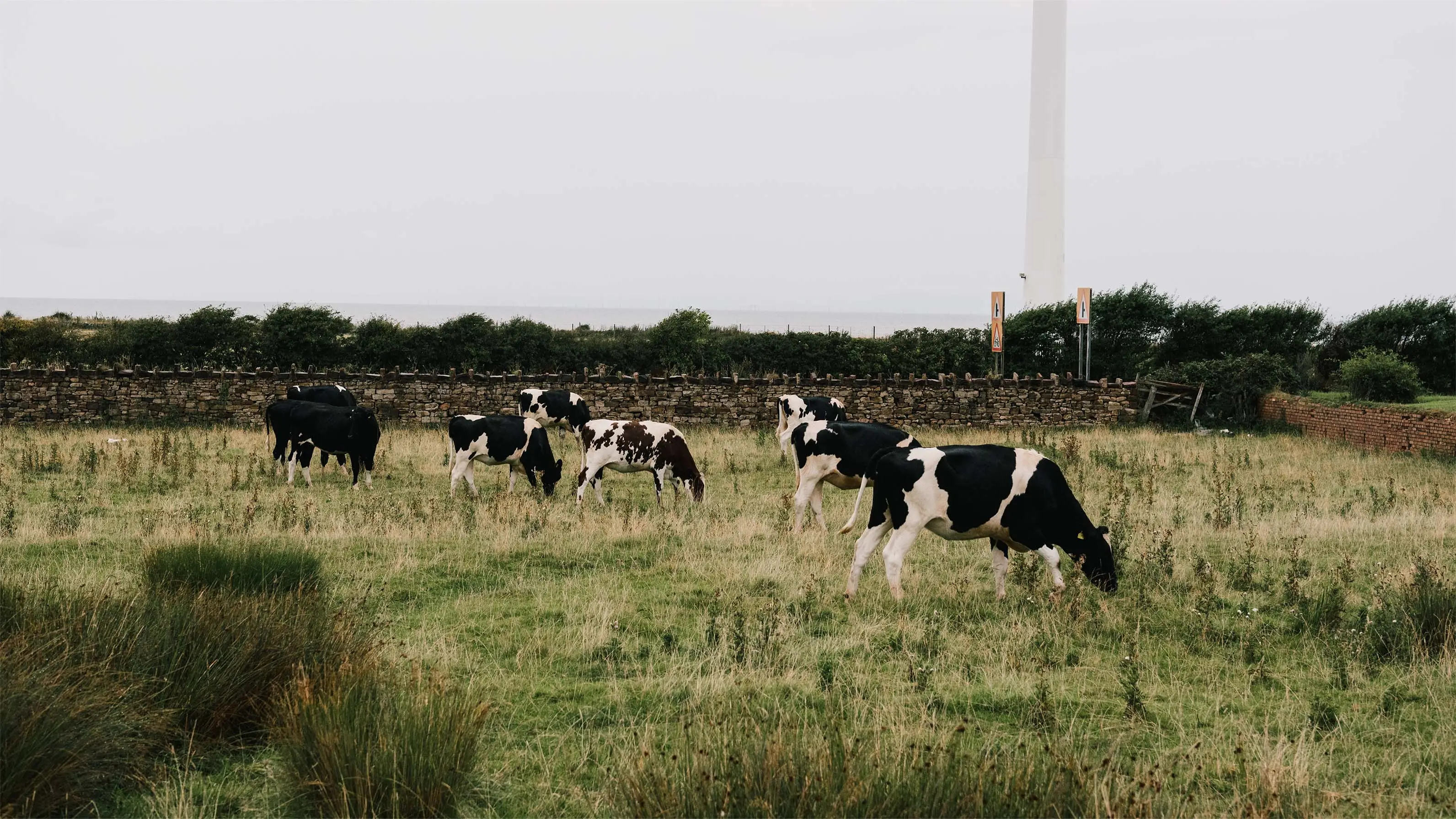 Where the F**k is Flimby? Inside New Balance's 40th Anniversary ...