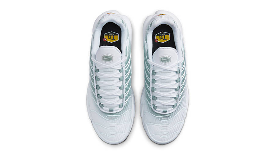 Nike TN Air Max Plus Gradient Green White | Where To Buy | DZ3670-100 ...