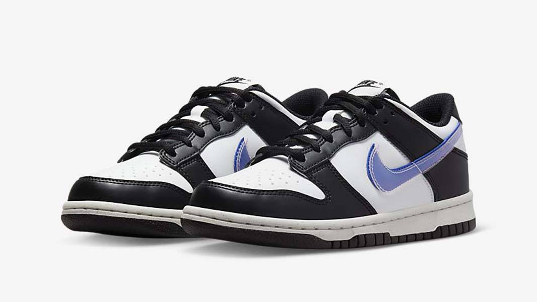 Nike Dunk Low GS Next Nature TPU Swoosh | Where To Buy | FD0689-001