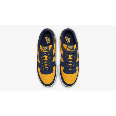 Nike Terminator Low Michigan | Where To Buy | FJ4206-700 | The Sole ...