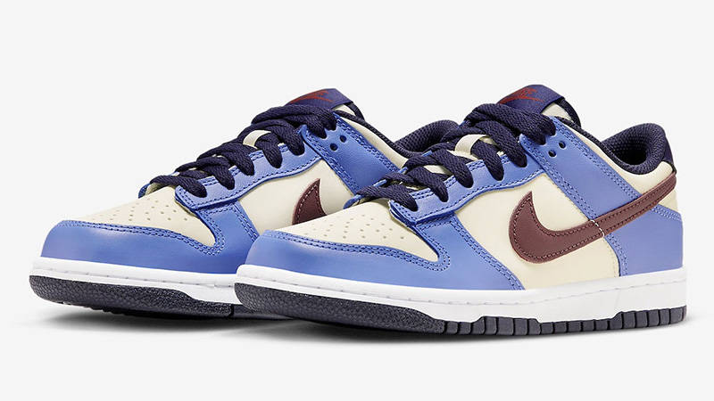 Nike Dunk Low GS From Nike To You | Where To Buy | FV8119-161
