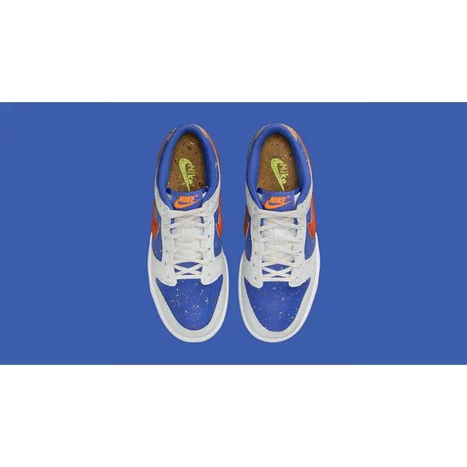 Nike Dunk Low GS Paint Splatter | HJ9233-025 | The Sole Supplier