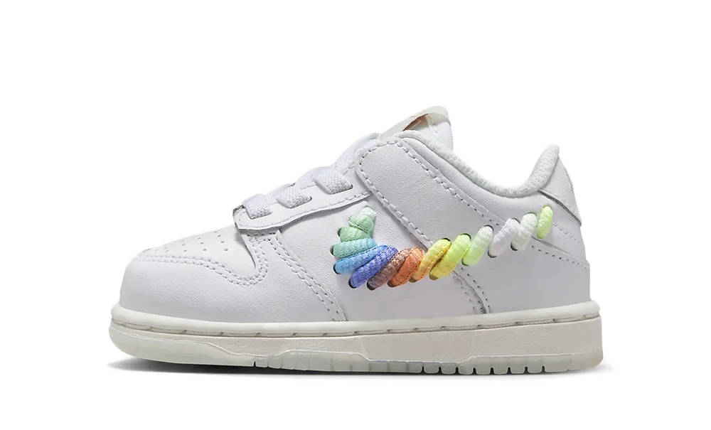 Nike Dunk Low Toddler Rainbow Swoosh | FQ1924-100 | The Sole Supplier