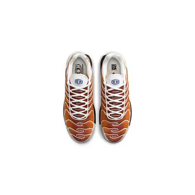One Block Down x Nike TN Air Max Plus Reverse| FZ3308-700 | The Sole ...