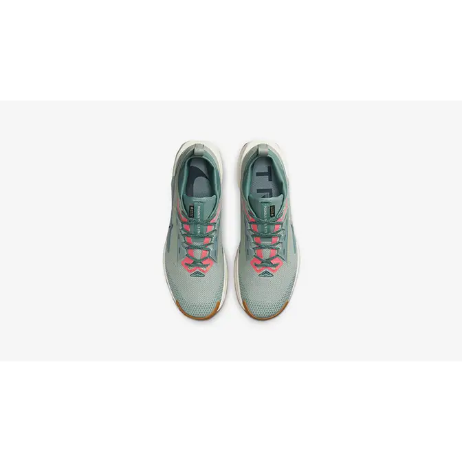 Nike Pegasus Trail 5 GORE-TEX Jade Horizon Bicoastal | FQ0908-300 | The ...