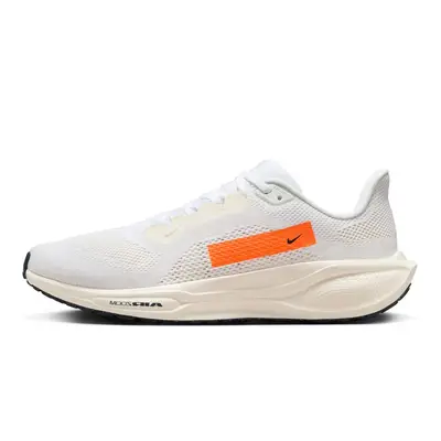 Nike Air Zoom Pegasus 41 PQ Anniversary | HF4300-100 | The Sole Supplier