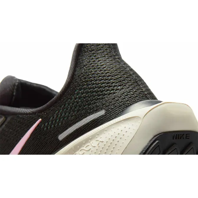 Nike Air Zoom Pegasus 41 Black Jade Horizon | FD2723-009 | The Sole ...