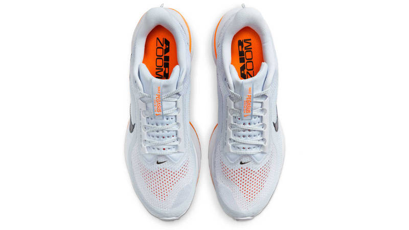 Nike Pegasus Premium Airscape | HQ2592-002 | The Sole Supplier