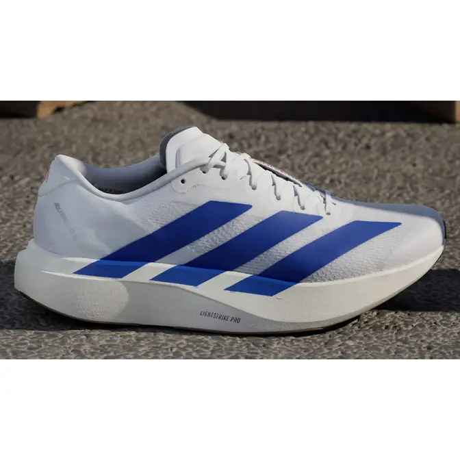 adidas Adizero EVO SL White Royal Blue | JS4494 | The Sole Supplier