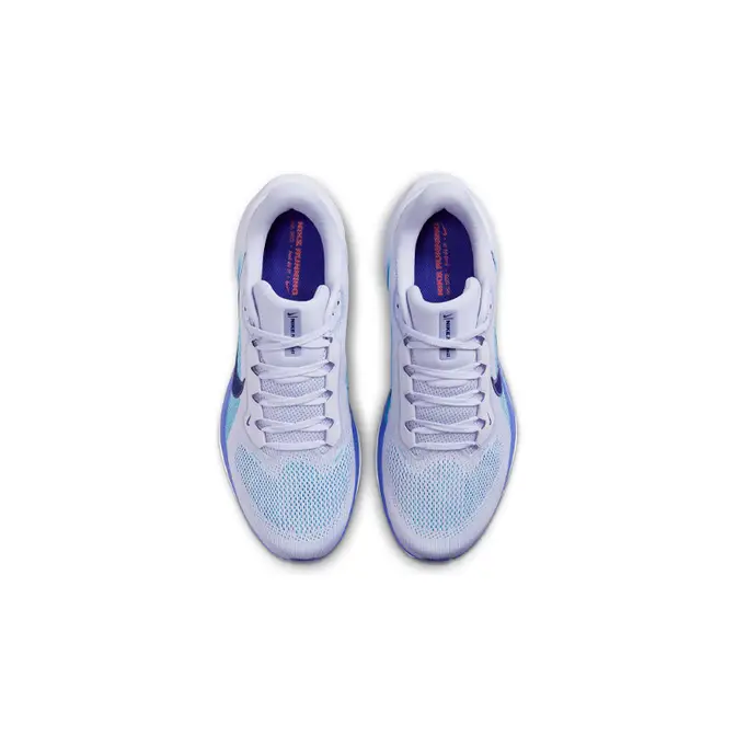 Nike Pegasus 41 Ghost Blue Void | FD2722-014 | The Sole Supplier