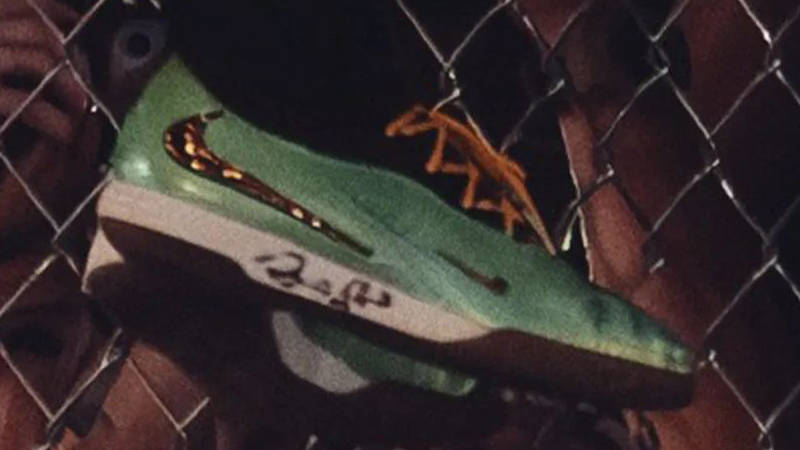 Travis Scott x Nike Phantom 6 Low Green Brown | The Sole Supplier